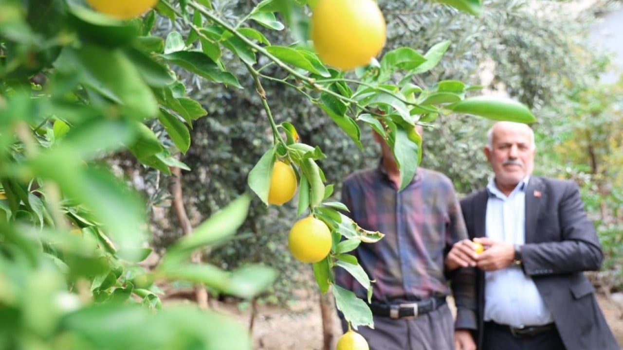 Bu köyde ne eksen onu biçiyorsun! Her iklime "geçit" var - Yeni Akit