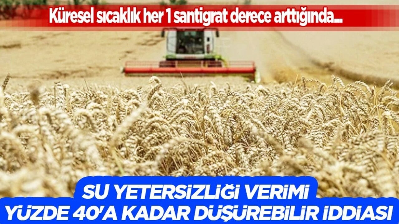Bazı ürünler gelecekte su yetersizliği yüzünden verimi yüzde 40'a kadar ...