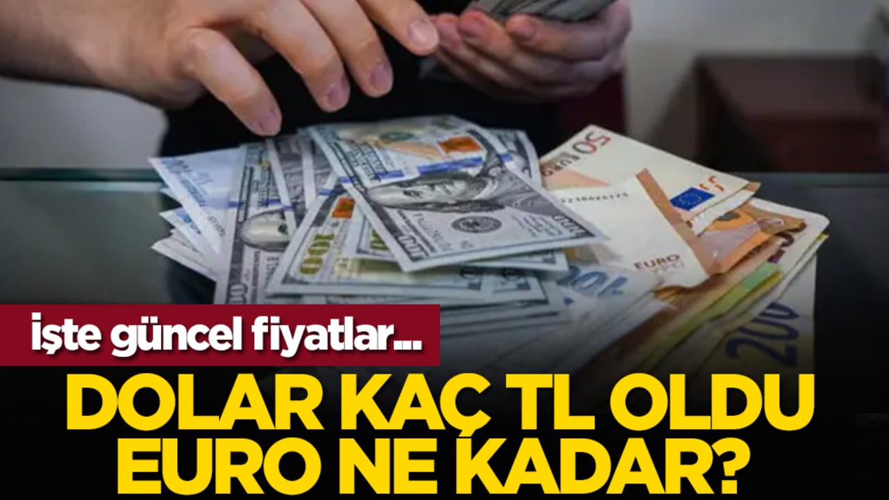 230 Tl In Euro