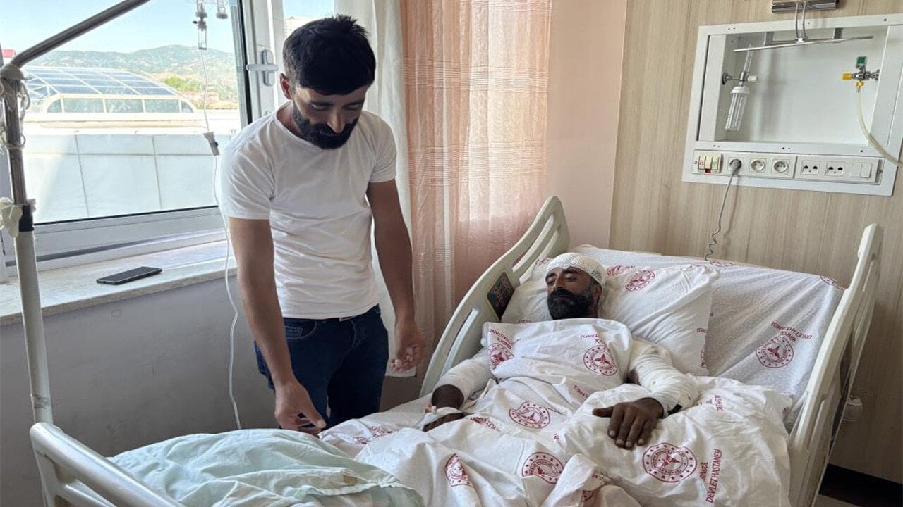 Mantar toplarken bir anda ayı saldırısına uğradı - Yeni Akit