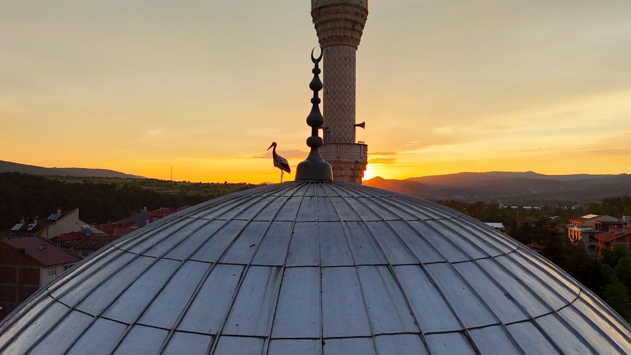 Gün batımında kartpostallık görüntü! Cami kubbesine konan leylekler ...