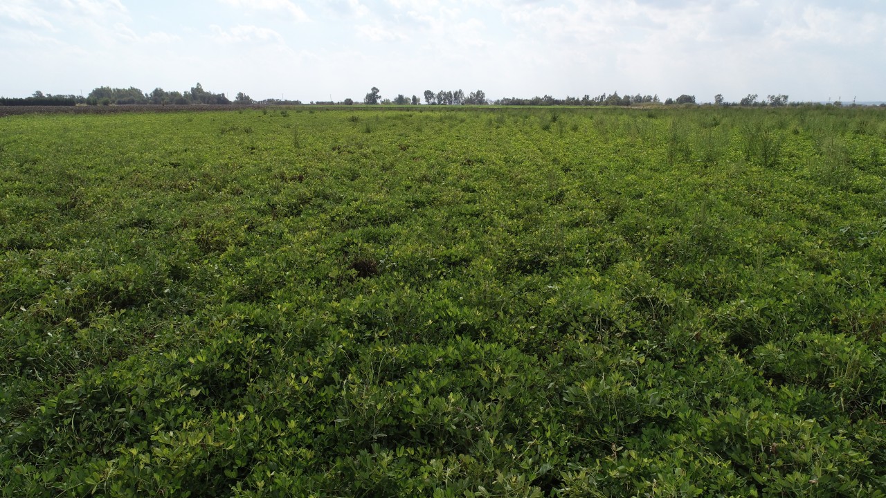 Kayıpları en aza indiriyor: Tarımda susuzluğu düşüren formül - Yeni Akit