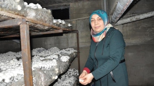 15 bin lirayla kurdu, günde 200 kilo üretiyor - Yeni Akit