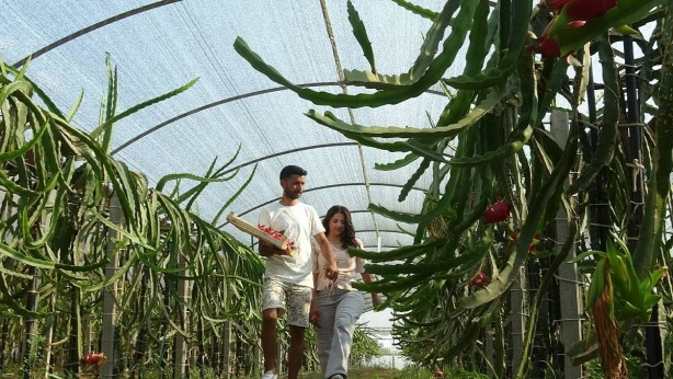 30 yıl boyunca dayanıyor! Herkes almak için sıraya giriyor! Olacak şey ...
