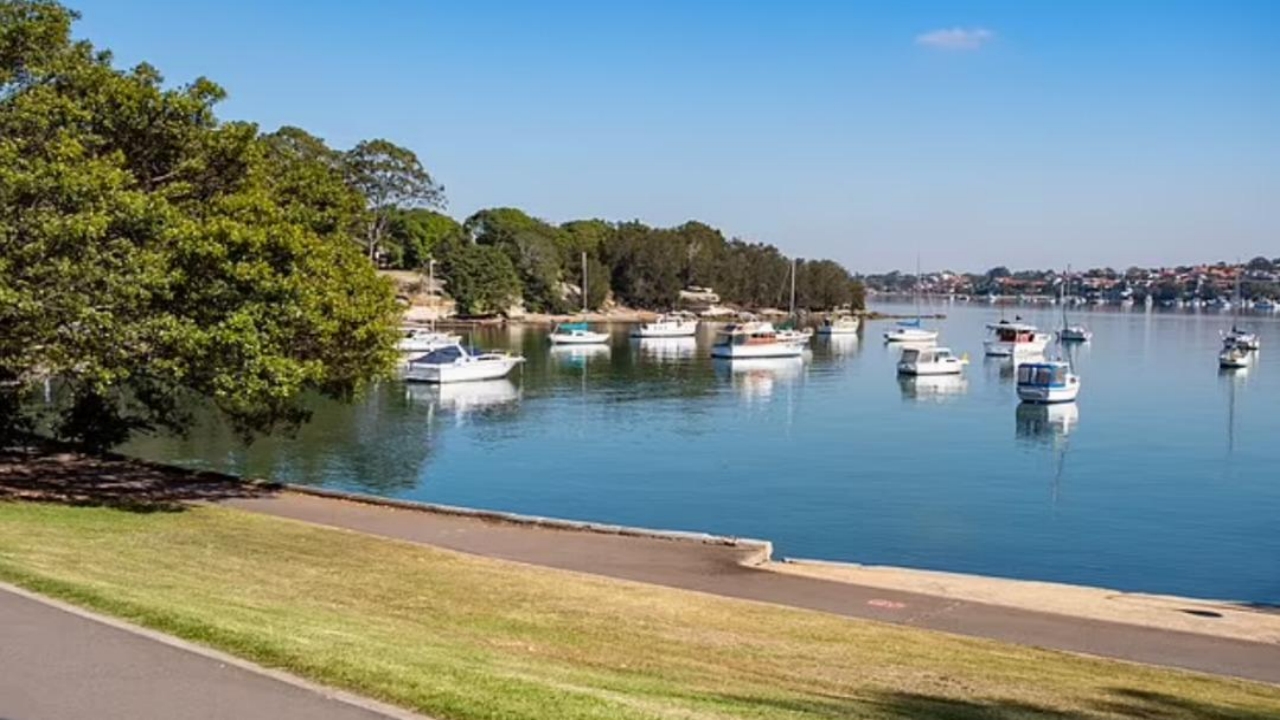 50 yıl sonra maalesef ilk defa görüldü! En tehlikeli ve zehirli canlılardan biri... İşte şimdi ...