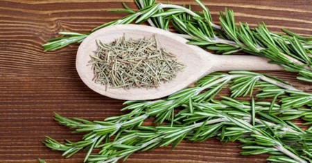 Biberiyenin faydaları nelerdir ve nasıl kullanılır? Biberiye bitkisi ...