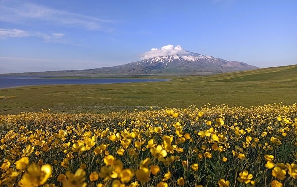 Bitlis'te yaz bir başka güzel - Yeni Akit