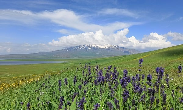 Bitlis'te yaz bir başka güzel - Yeni Akit