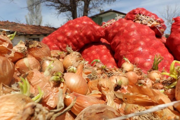 Çiftçiler tarih verdi! Soğan istismarcılarına kötü haber - Yeni Akit