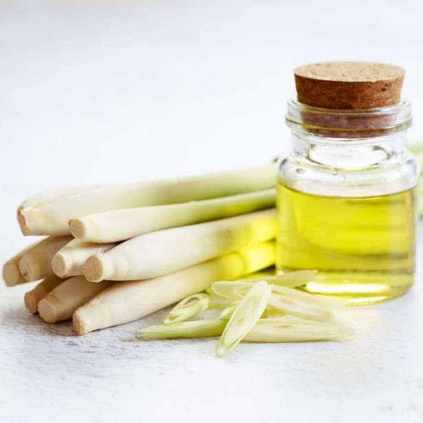 İbn-i Sina yüzyıllar önce bu bitkiyi önerdi! Beyinde ve damardaki ...