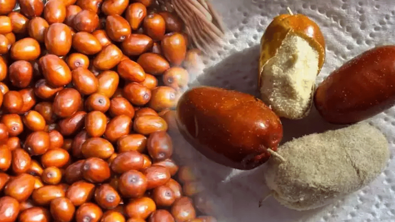 İğdenin faydaları nelerdir? İğde nelere iyi gelir? İğde tozu nasıl ...