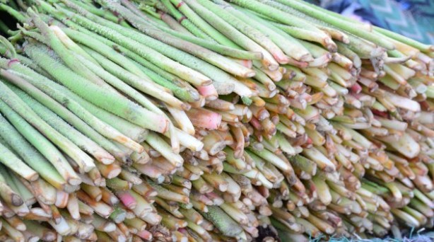 Işkın otu hücreleri yenileyip tansiyonla savaşıyor - Yeni Akit