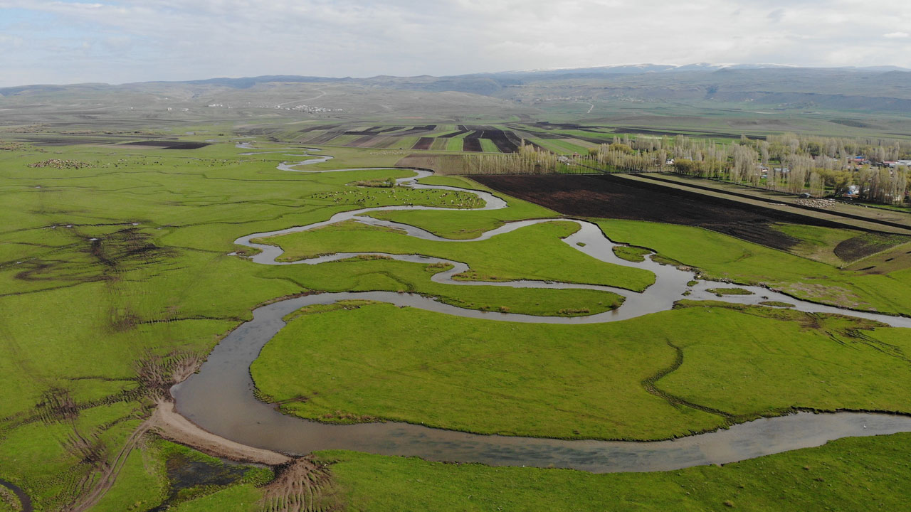 Kars’ın doğası büyülüyor! Mendereslerin dansı başladı - Yeni Akit