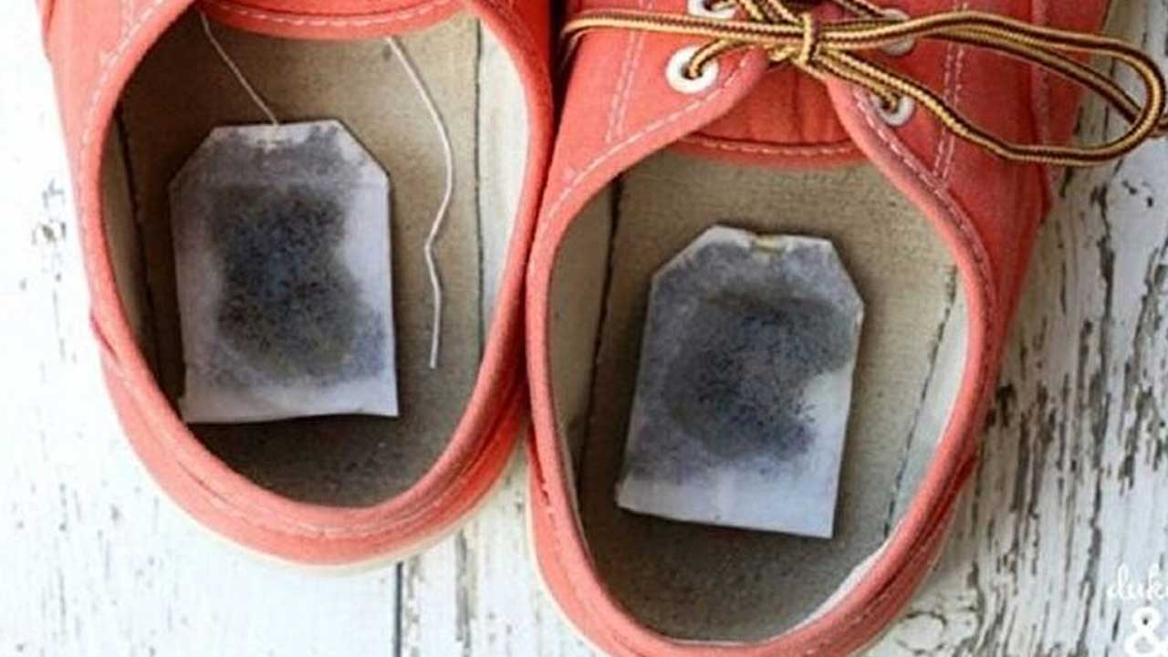 Koreliler hep bunu yapıyor! Ayakkabılarınızın içine çay poşeti ...