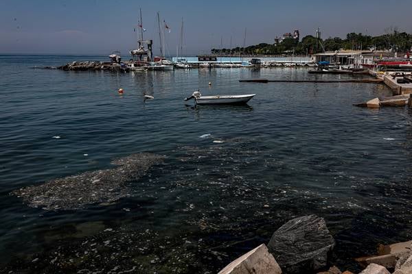 Maalesef 'normal'leştik! Deniz kıyısı pislik içinde - Yeni Akit