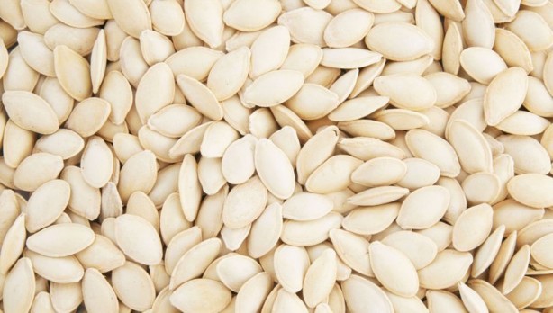 Mide ve barsak sağlığı için kabak çekirdeği tüketin... Ama nasıl ...