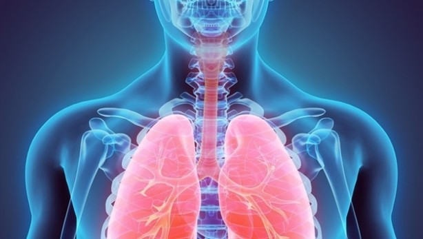 Nikotin nedir? Nikotini vücuttan temizleyen besinler nelerdir? - Yeni Akit