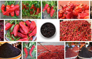 Şifa deposu isot nedir? İnsan sağlığına faydası nelerdir? - Yeni Akit