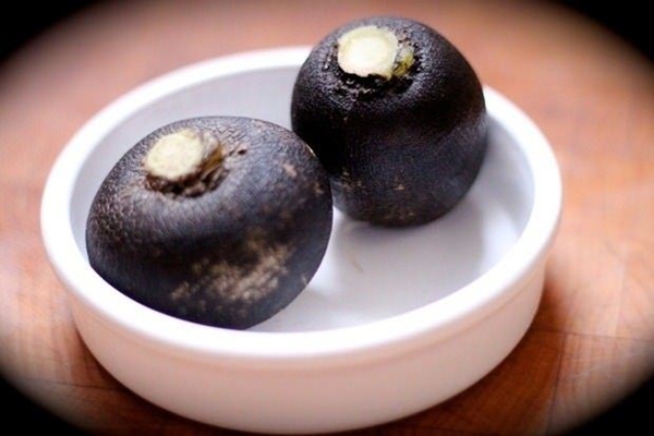 Siyah turp ve bal mucizesi - Yeni Akit