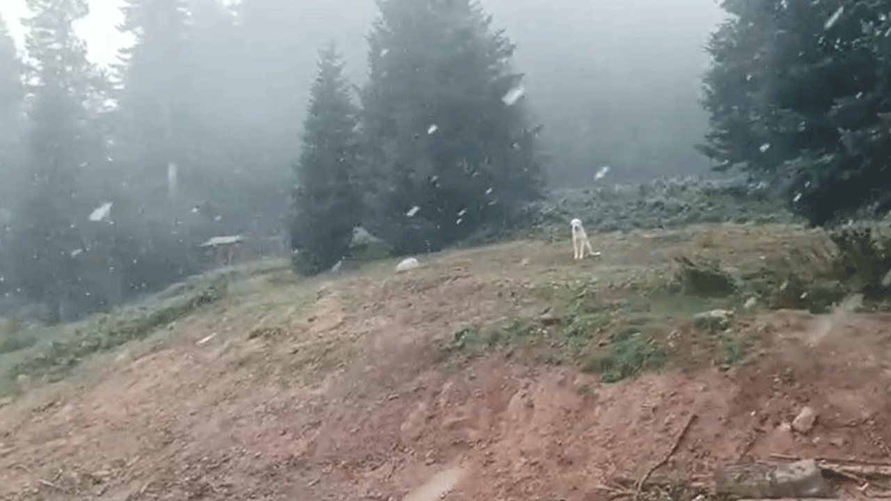 Türkiye'de kar sürprizi! Lapa lapa yağmaya başladı - Yeni Akit