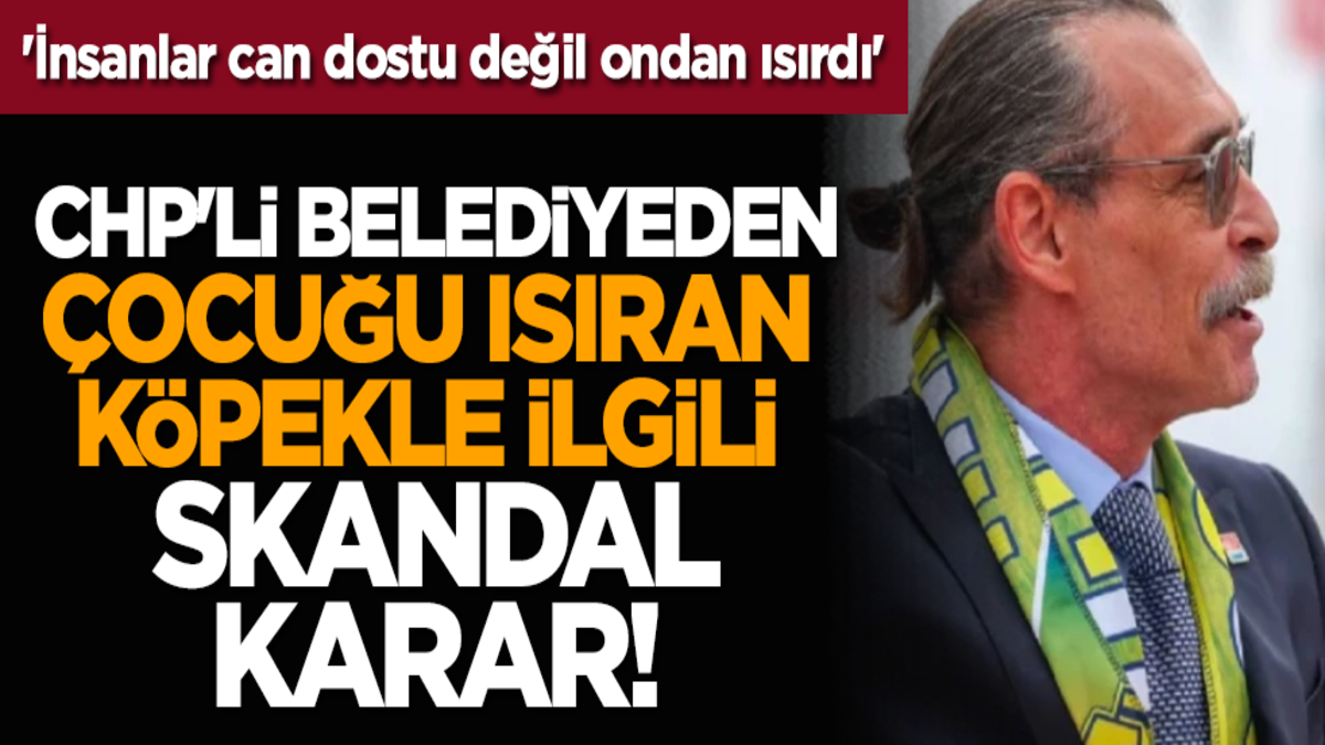 'İnsanlar can dostu değil ondan ısırdı' CHP'li belediyeden çocuğu ...