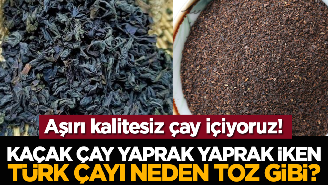 Kaçak çay yaprak yaprak iken Türk çayı neden toz gibi? Aşırı kalitesiz ...