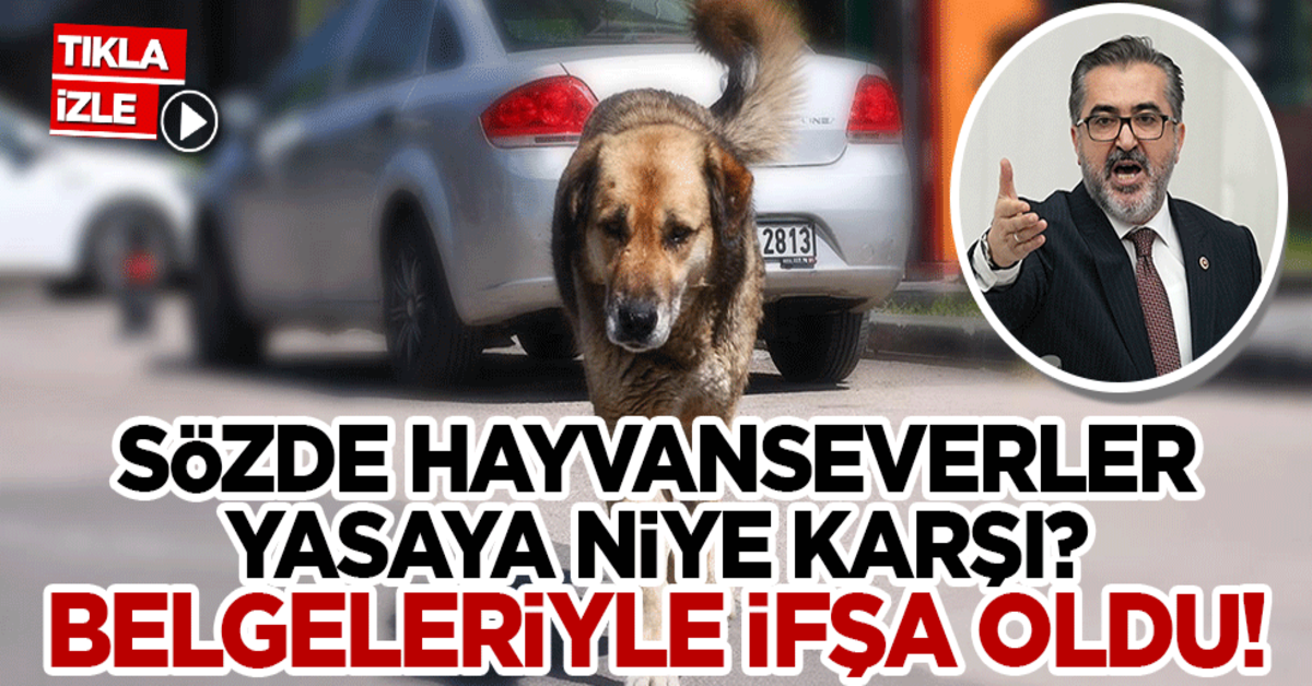 Sözde hayvanseverler yasaya niye karşı? AK Partili Yıldırım ...
