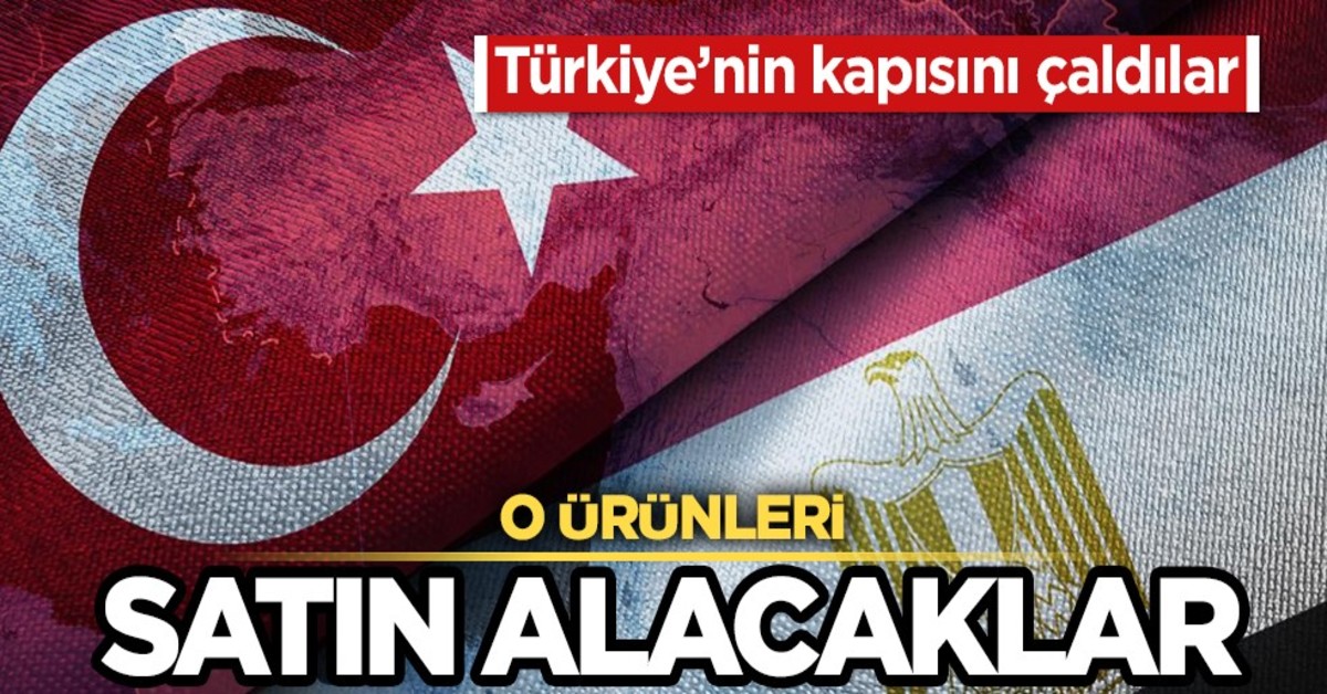 Türkiye’deki kapı üreticileri harekete geçti! Mısır ülkesi gelişmeyi ...