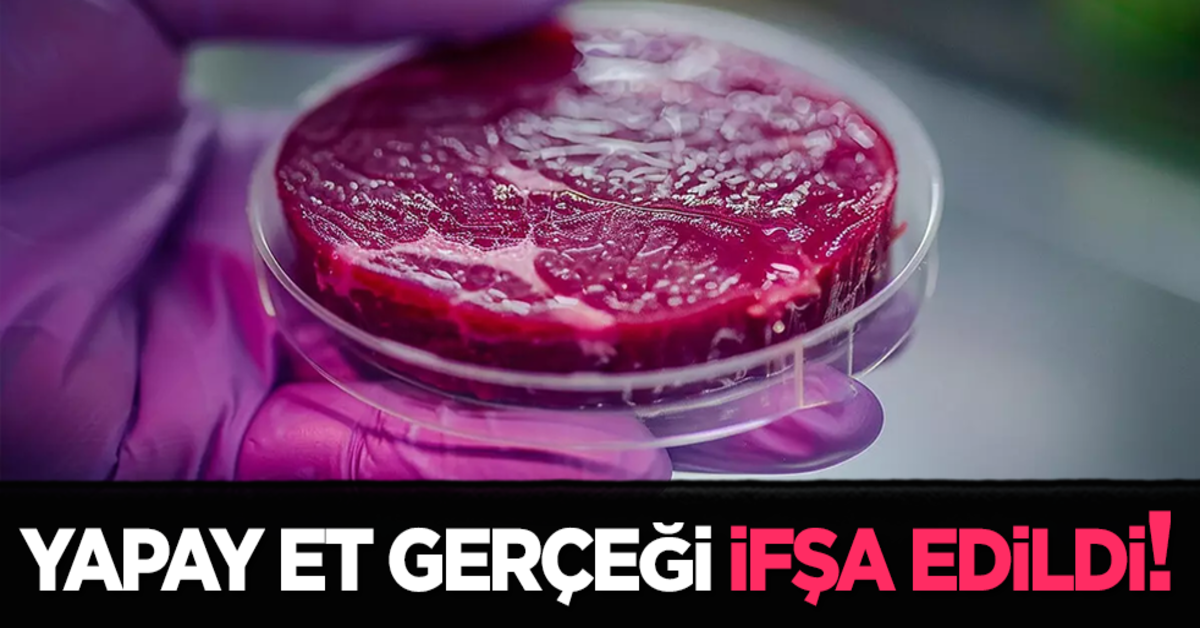 Yapay et gerçeği ifşa edildi! - Yeni Akit