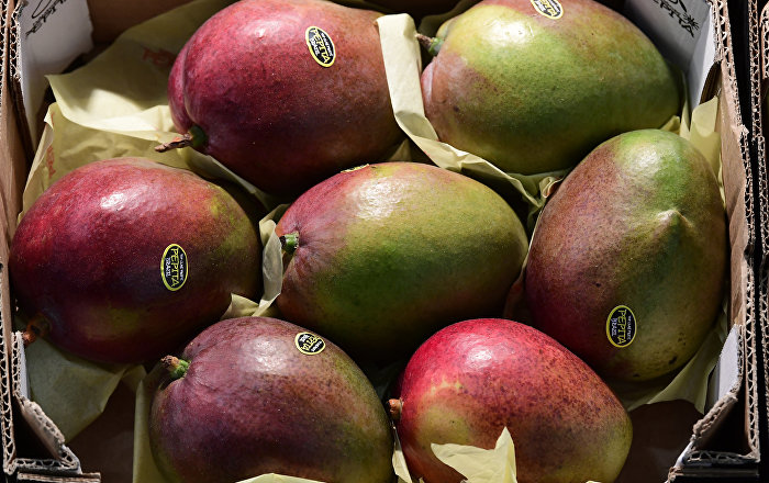 2 mangoyu 15 bin liraya satıyorlar! - Yeni Akit