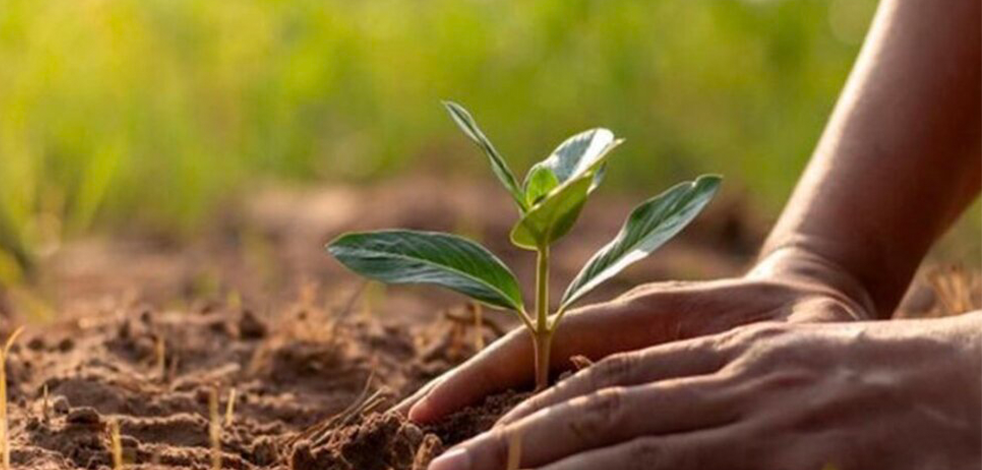 Almanya’da Müslüman gençlerden cami etrafını yeşillendirecek örnek ...