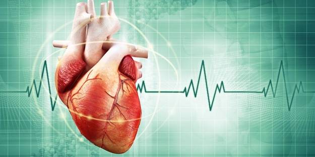 Avrupa'da bir ilk: Yapay kalp nakli başarıyla gerçekleştirildi - Yeni Akit