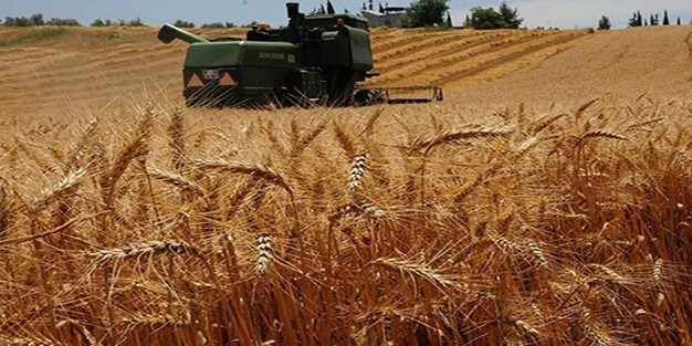 Çiftçilere yem bitkileri desteği ne zaman? - Yeni Akit