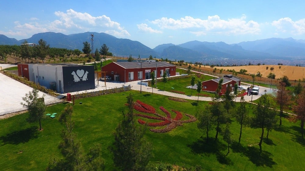 Denizli’de 2 bin 500 sokak hayvanını sahiplendirdi - Yeni Akit