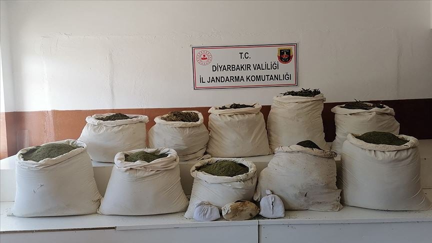 Diyarbakır'da 2 milyon 452 bin 500 kök Hint keneviri ele geçirildi ...