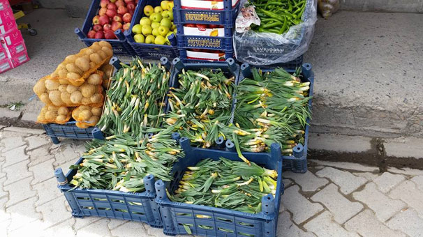 Diyarbakır'da Gulik otu işsizlere geçim kaynağı oldu - Yeni Akit