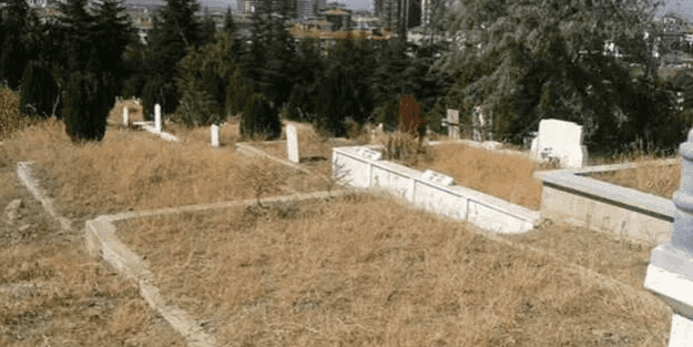 Görenler şaşkına döndü! Altından daha çok değer kazandı - Yeni Akit