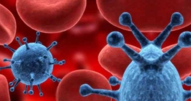 Şarbon hastalığını nasıl tespit ederiz? - Yeni Akit