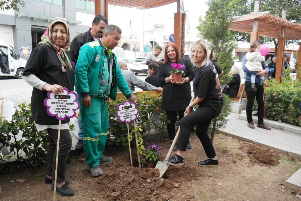 Tarsus mor begonvil kenti oluyor - Yeni Akit