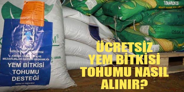Ücretsiz yem bitki tohumu ne zaman nereden alınır? - Yeni Akit