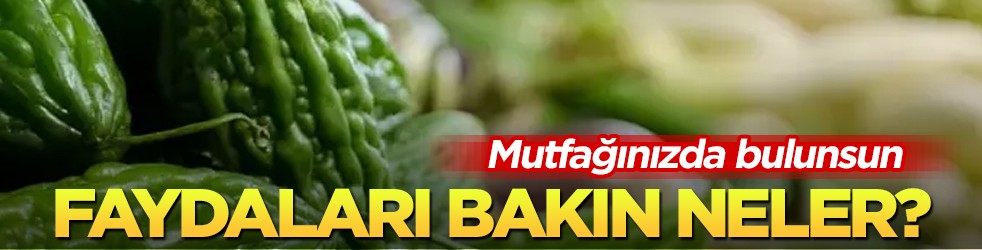 Acı kavun: faydaları neler, nelere iyi gelir? Hastalıklara karşı bakın ...