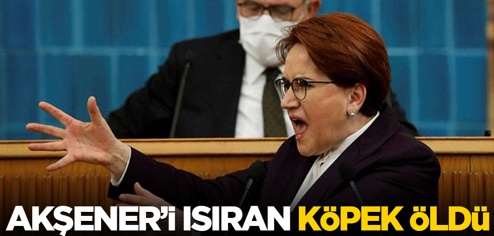 Ali Tezel kimdir? - Yeni Akit