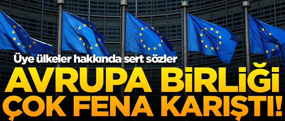 Avrupa Birliği fena karıştı! Üye ülkeler hakkında çok sert sözler ...
