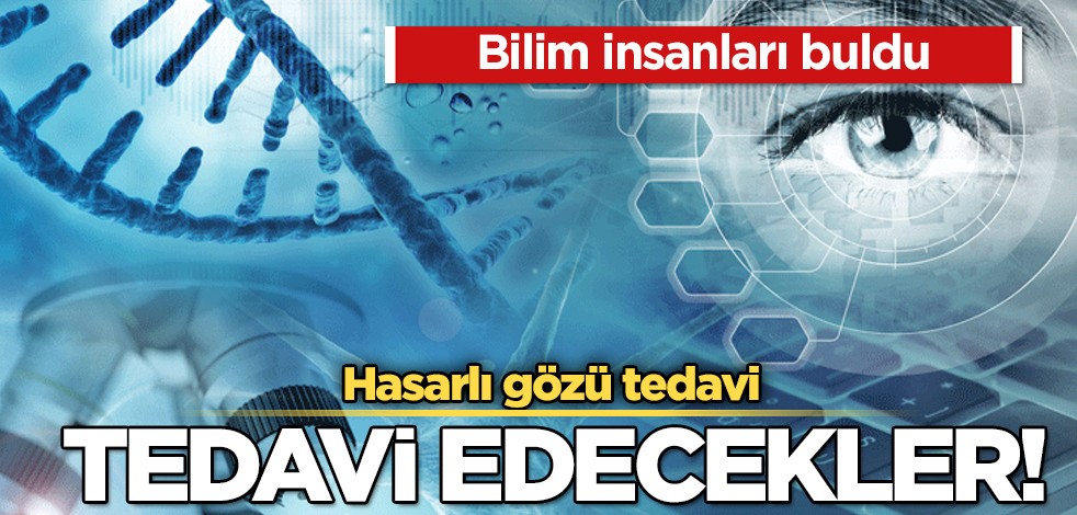 Bilim insanları müthiş bir buluşa imza attı: Sadece küçük kök hücre ...