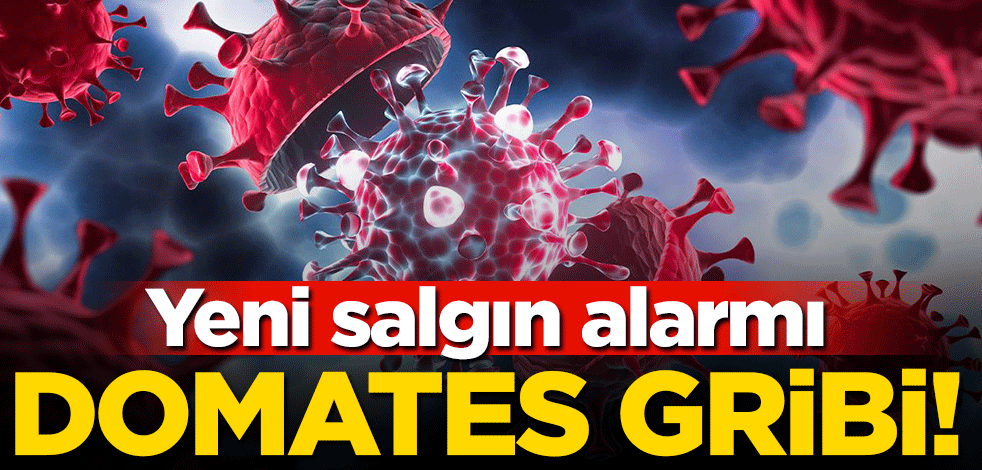 Bu 5 belirtiye dikkat... Yeni salgının adı: Domates gribi! - Yeni Akit