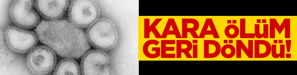 Çin'de veba hastalığı görülen iki kişi karantinaya alındı! - Yeni Akit