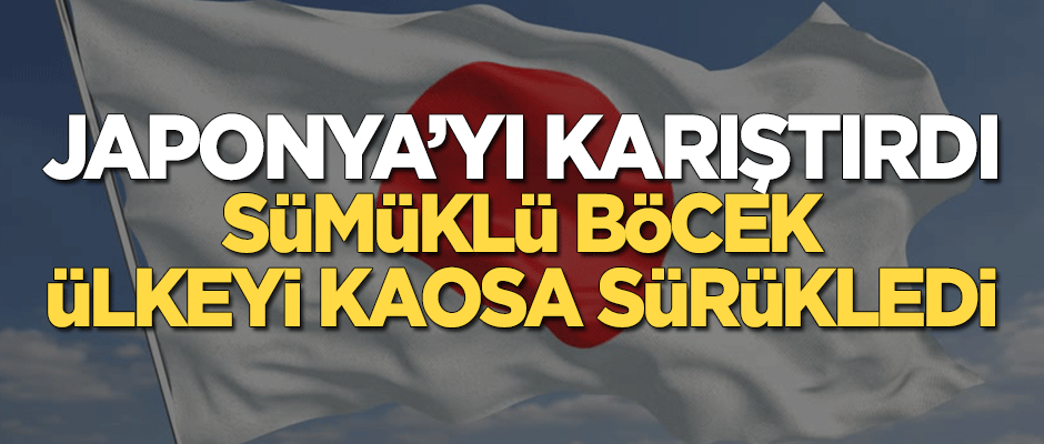 Japonya'yı karıştırdı! Sümüklü böcek ülkede kaosa neden oldu - Yeni Akit