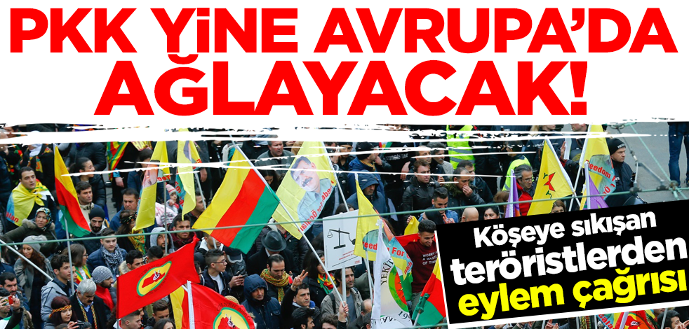 PKK yine Avrupa'da ağlayacak! Köşeye sıkışan teröristlerden eylem ...
