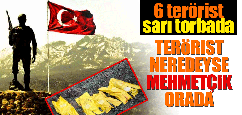 Türk Silahlı Kuvvetleri tarafından 6 terörist etkisiz hale getirildi! MSB: Terörist neredeyse ...