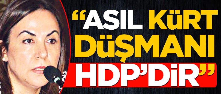 Zeynep Gül Yılmaz: "Asıl Kürt düşmanı HDP’dir" - Yeni Akit